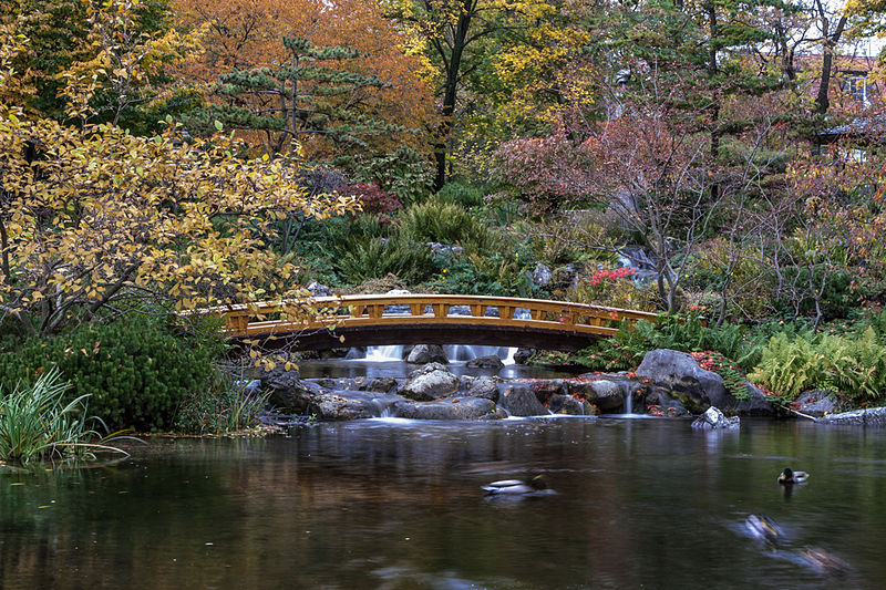 Setagaya Area Guide | Tokyo Cheapo