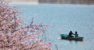 Ariake Area Guide | Tokyo Cheapo