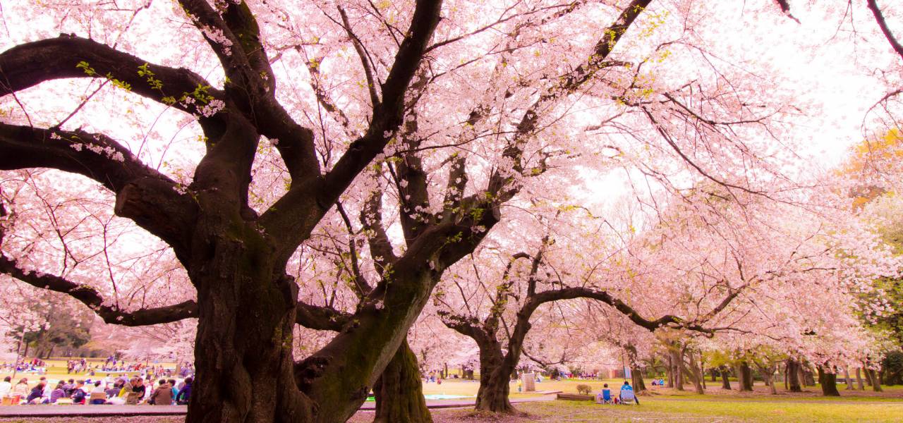 Kinuta Park | Tokyo Cheapo