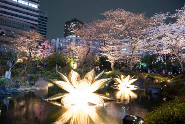 Tokyo Cheapo | Page 49 of 77 | The Ultimate Guide To Tokyo