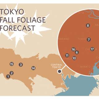 Infographic: Top Viewing Spots for Tokyo Autumn Leaves | Tokyo Cheapo
