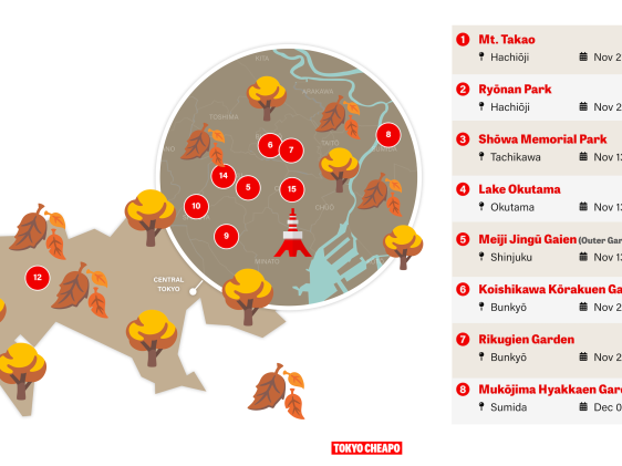 Tokyo Fall Foliage Forecast 2023 [Infographic] | Tokyo Cheapo