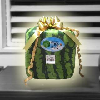 All About Japan's Square Watermelons (w/ Video) | Tokyo Cheapo