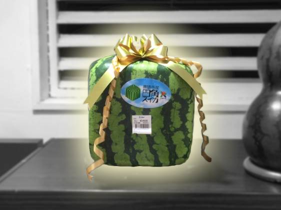 All About Japan's Square Watermelons (w/ Video) | Tokyo Cheapo
