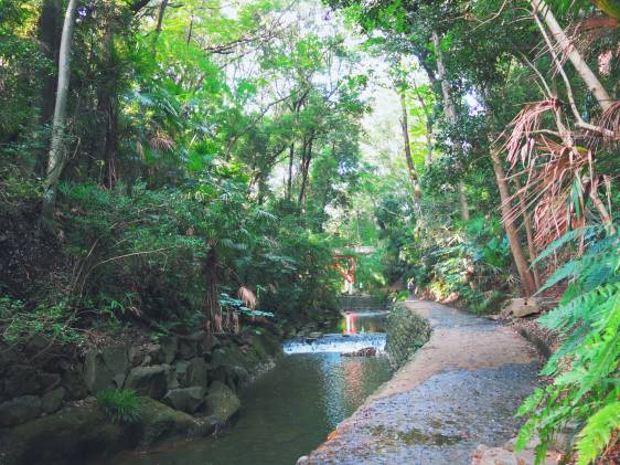 Todoroki Area Guide | Tokyo Cheapo