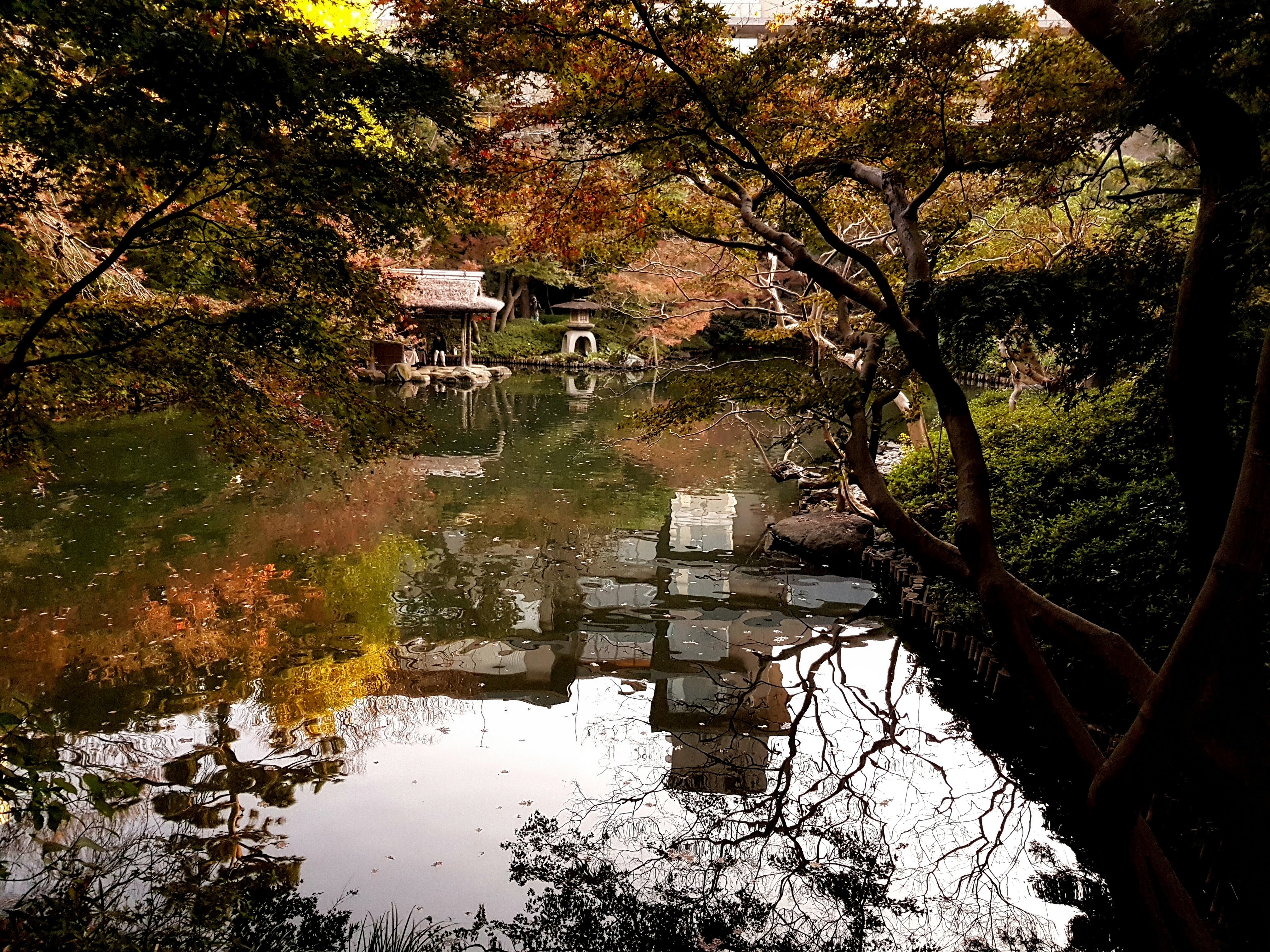 Video Tokyo39s Happoen The Majestic Japanese Garden Of Eight Views