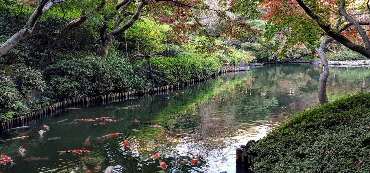 Shirokane Area Guide | Tokyo Cheapo