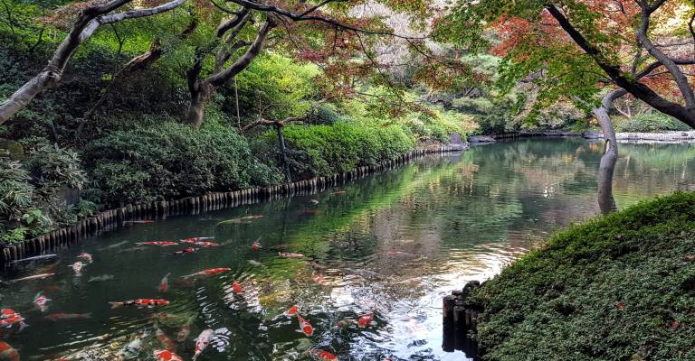 Shirokane Area Guide | Tokyo Cheapo