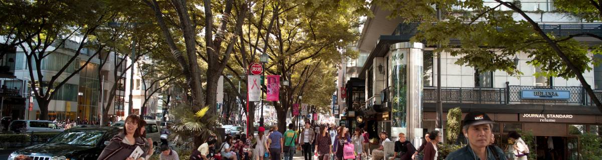 Omotesando Area Guide | Tokyo Cheapo