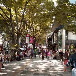 Omotesando Area Guide | Tokyo Cheapo