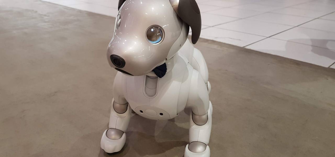 Japan Robot Week 2026, Mid Sep 2026, 2026 | Tokyo Cheapo