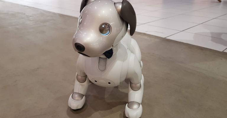 Japan Robot Week 2026, Mid Sep, 2026 | Tokyo Cheapo