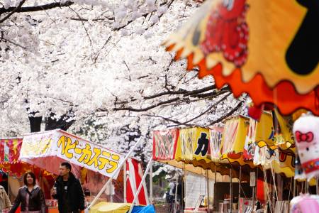 The Ultimate Guide to Tokyo Festivals | Tokyo Cheapo