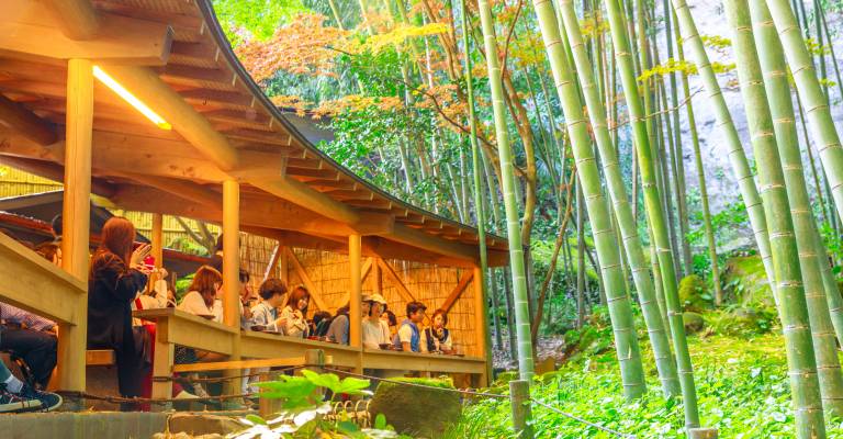 Splendor in the Grass: 10 Bamboo Forests to Explore in Tokyo | Tokyo Cheapo