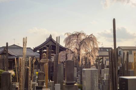 Time Travel Tokyo: The City’s Best Old-World Districts | Tokyo Cheapo