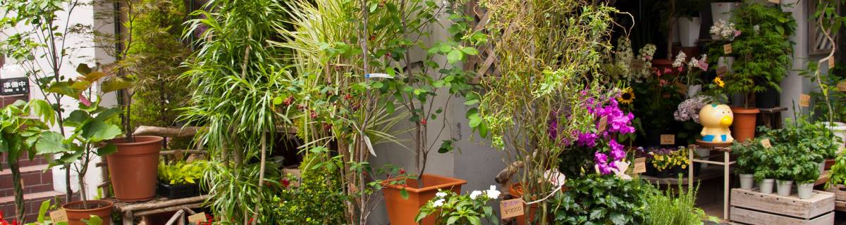 Tokyo Garden Shops: Supplies & Inspiration | Tokyo Cheapo