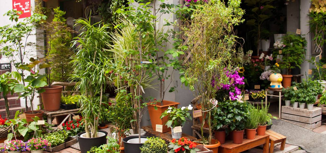 Tokyo Garden Shops: Supplies & Inspiration | Tokyo Cheapo