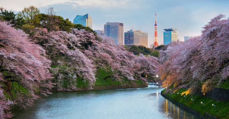 Tokyo Walks - 6 Great Routes For History, Culture and Urban Exploration ...