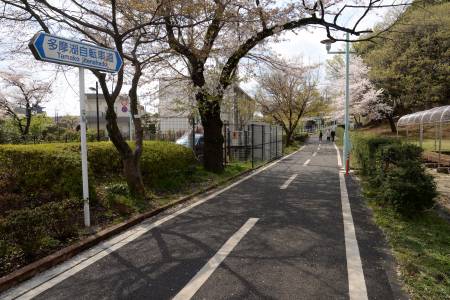 Tokyo Cycle Routes: Explore City, Nature and Everything in Between ...