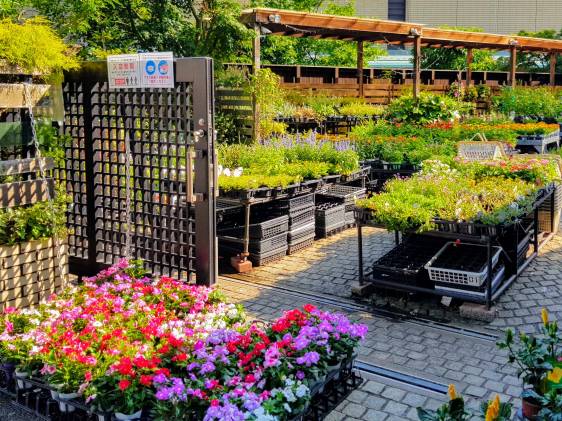 Tokyo Garden Shops: Supplies & Inspiration | Tokyo Cheapo