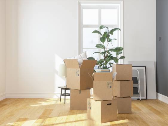 Leaving Japan: What You Need to Do Before You Move | Tokyo Cheapo