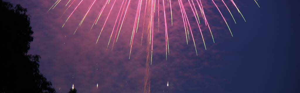 Guide to the Sumidagawa Fireworks Festival | Tokyo Cheapo