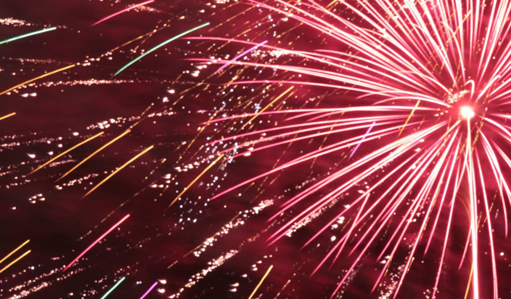 Sumidagawa Fireworks Festival, 11th Jul, 2020 | Tokyo Cheapo