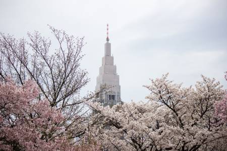Tokyo Parks Mega Guide: Best Green Spaces in the City | Tokyo Cheapo