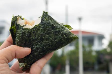 Onigiri: Guide to Japan's Favorite Snack | Tokyo Cheapo