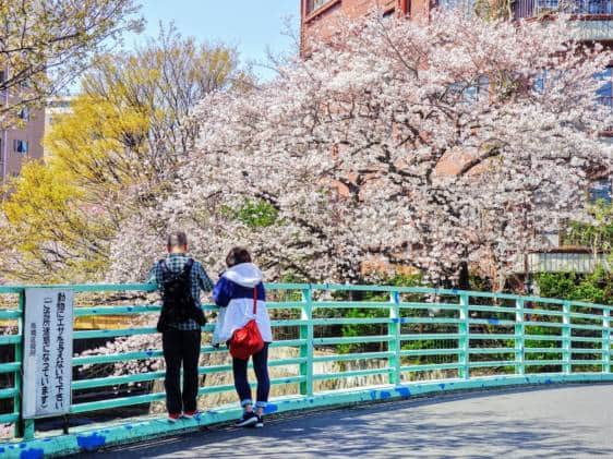 Itabashi Area Guide | Tokyo Cheapo