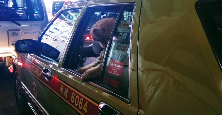 How to Catch a Taxi in Tokyo: Quick Guide | Tokyo Cheapo