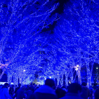 Shibuya Blue Cave Illuminations, Late Nov–Late Dec 2021, 2021 | Tokyo ...