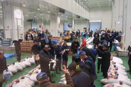 Toyosu Fish Market: Full Guide Including the Tuna Auction | Tokyo Cheapo