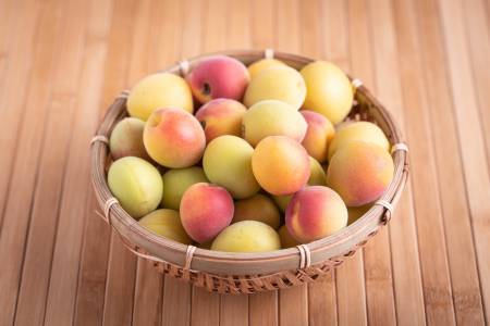 Japanese Spring Foods: 8 Unique Dishes to Try This Season | Tokyo Cheapo