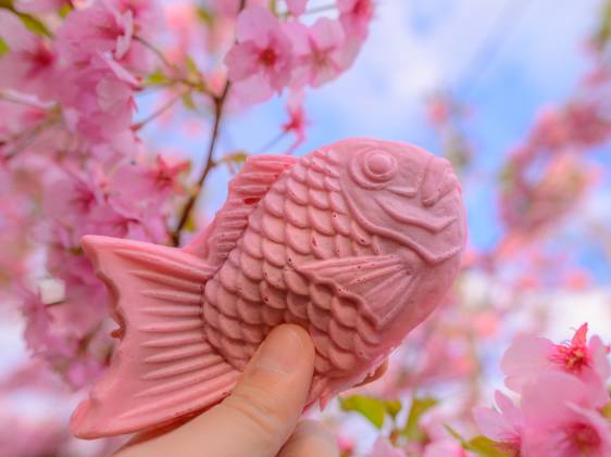 12 Tastiest Japanese Spring Foods | Tokyo Cheapo
