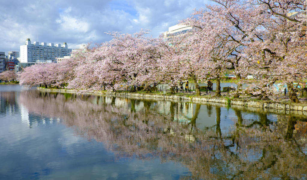 Ueno Park Tokyo Cheapo