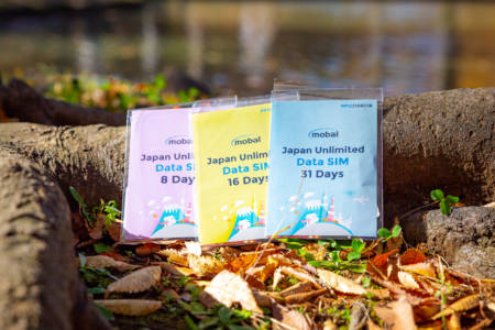 Japan SIM Cards: Prepaid and Cheap Options for Travel | Tokyo Cheapo