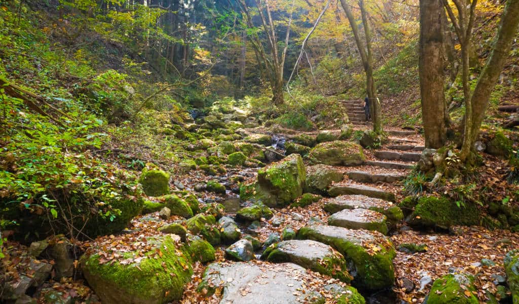 Mount Mitake Tokyo Cheapo Mount Mitake Tokyo Cheapo
