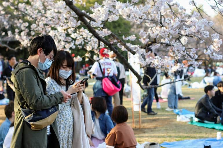 Tokyo Sakura Spots: Cherry Blossom Mega Guide | Tokyo Cheapo