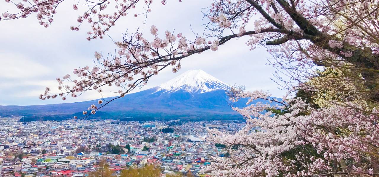 Spring Bus Tours from Tokyo: Stunning Flowers & Strawberry Picking ...