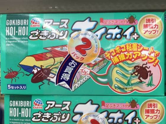 How to Get Rid of Cockroaches in Japan | Tokyo Cheapo
