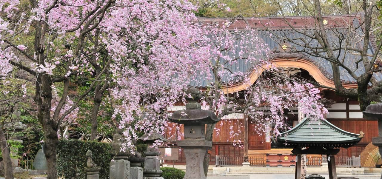 Chofu Area Guide | Tokyo Cheapo