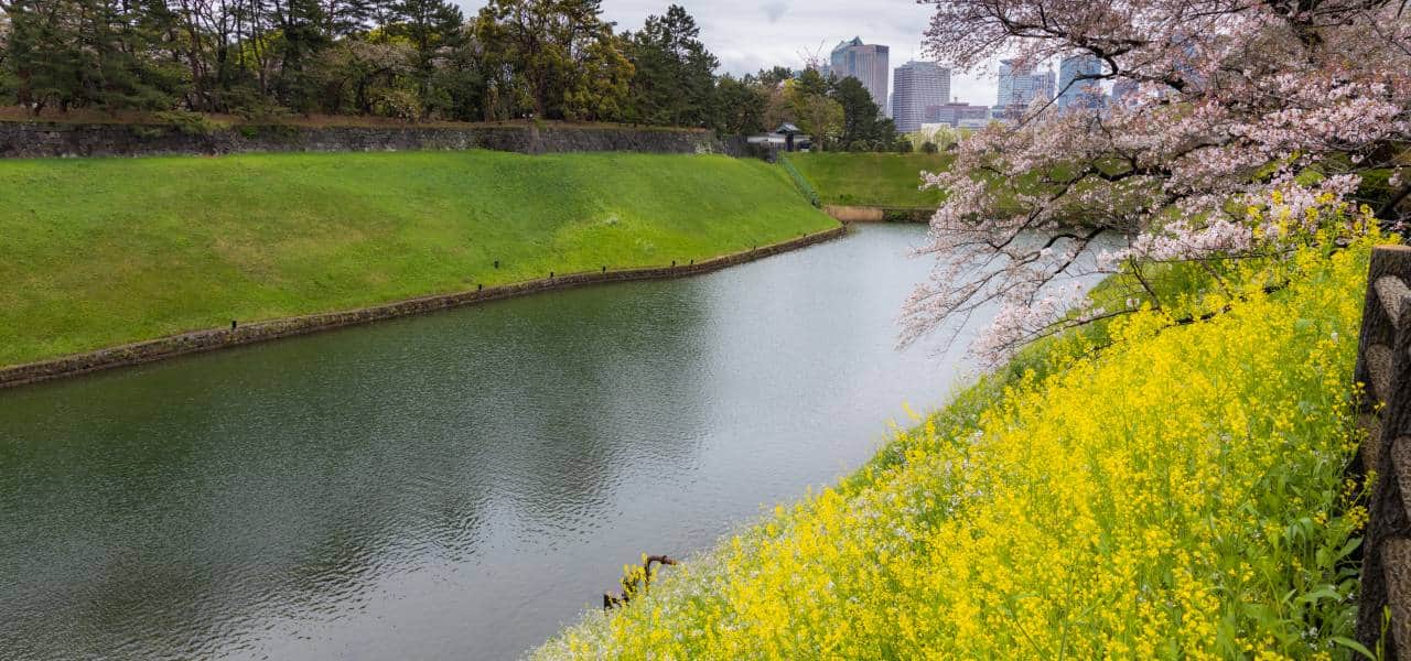 Hanzomon Area Guide | Tokyo Cheapo