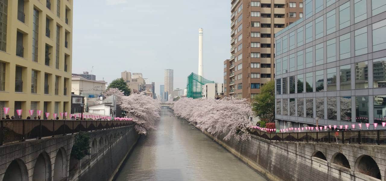 Meguro Area Guide | Tokyo Cheapo