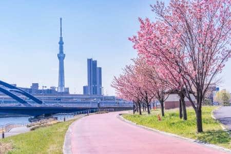 Spring in Tokyo: See Why it's the Most Beautiful Season | Tokyo Cheapo