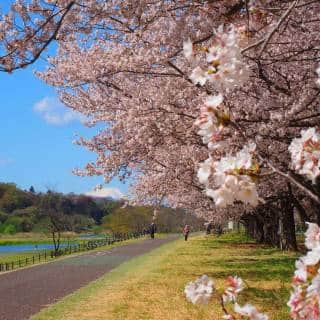 Fuchu Area Guide | Tokyo Cheapo