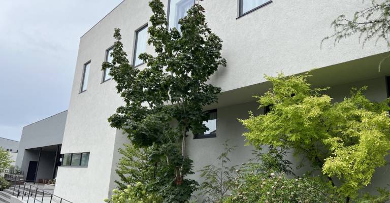 Mustard Hotel Shimokitazawa — Detailed Independent Review | Tokyo Cheapo