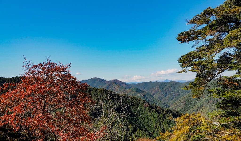 Mount Takao Day Trip: Explore Tokyo's Favorite Mountain | Tokyo Cheapo