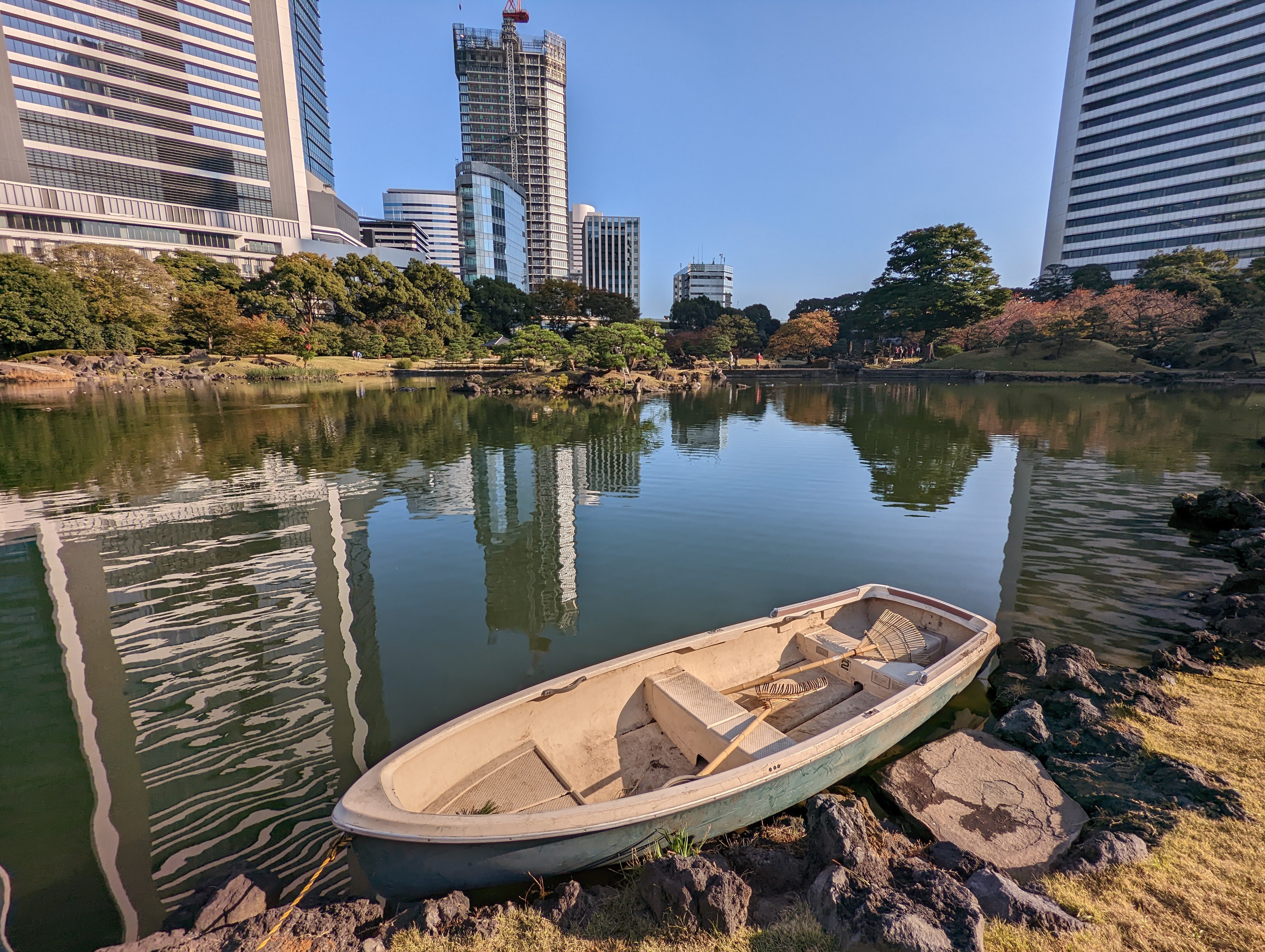 Kyu Shiba Rikyu Garden Cherry Blossom | Fasci Garden