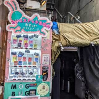 MOGBUG Insect Vending Machine | Tokyo Cheapo